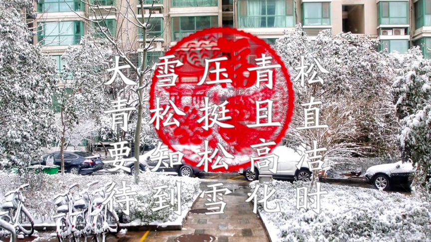 瑞雪迎春 中国加油 抗击新冠病毒,我们有坚强的决心