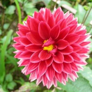 小小的生活记录 