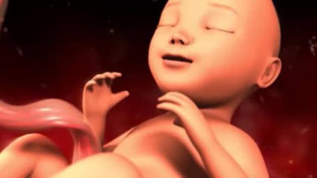 婴儿在出生前2小时都在忙啥?3D动画模拟全程,看完心都酥了!