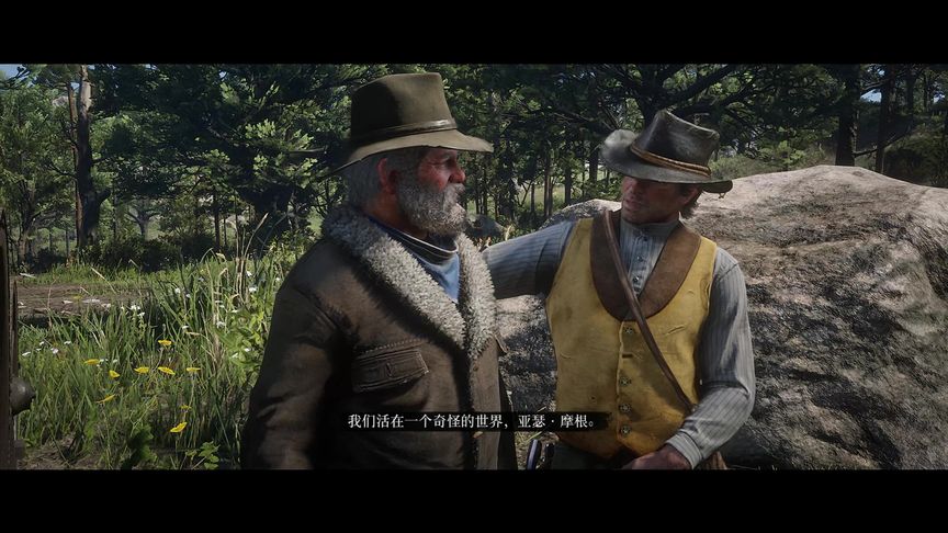 【小权】荒野大镖客2:娱乐流程攻略解说4