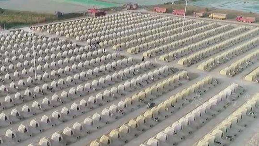 现代化养殖,日产鲜奶3000吨
