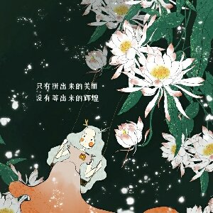 猎鹰古龙 