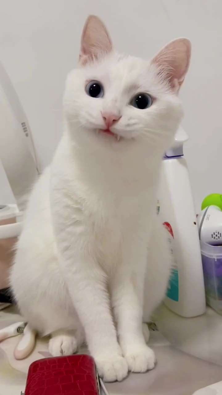憨憨专属表情包