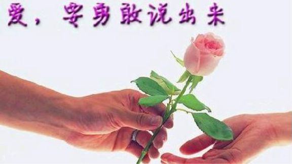 别说老司机不带你上车,学会这两串代码,你就离你的女神更进一步