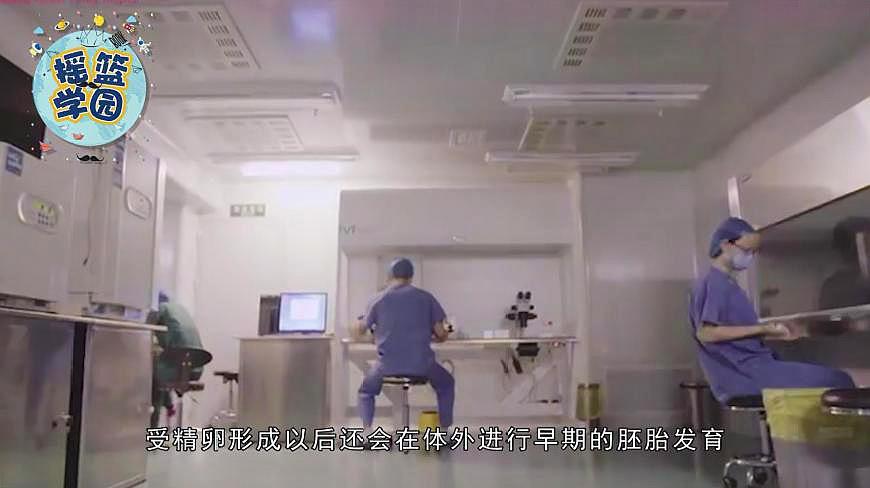 试管婴儿原来是这样的,再心急做爸爸妈妈,这些也需要及时了解!