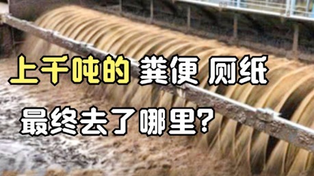 你们拉的屎都去哪了?卫生纸能不能丢进马桶?3分钟看懂污水处理
