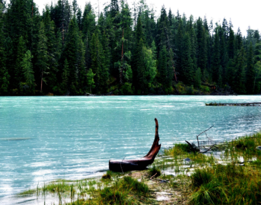 两地高风来拱向 