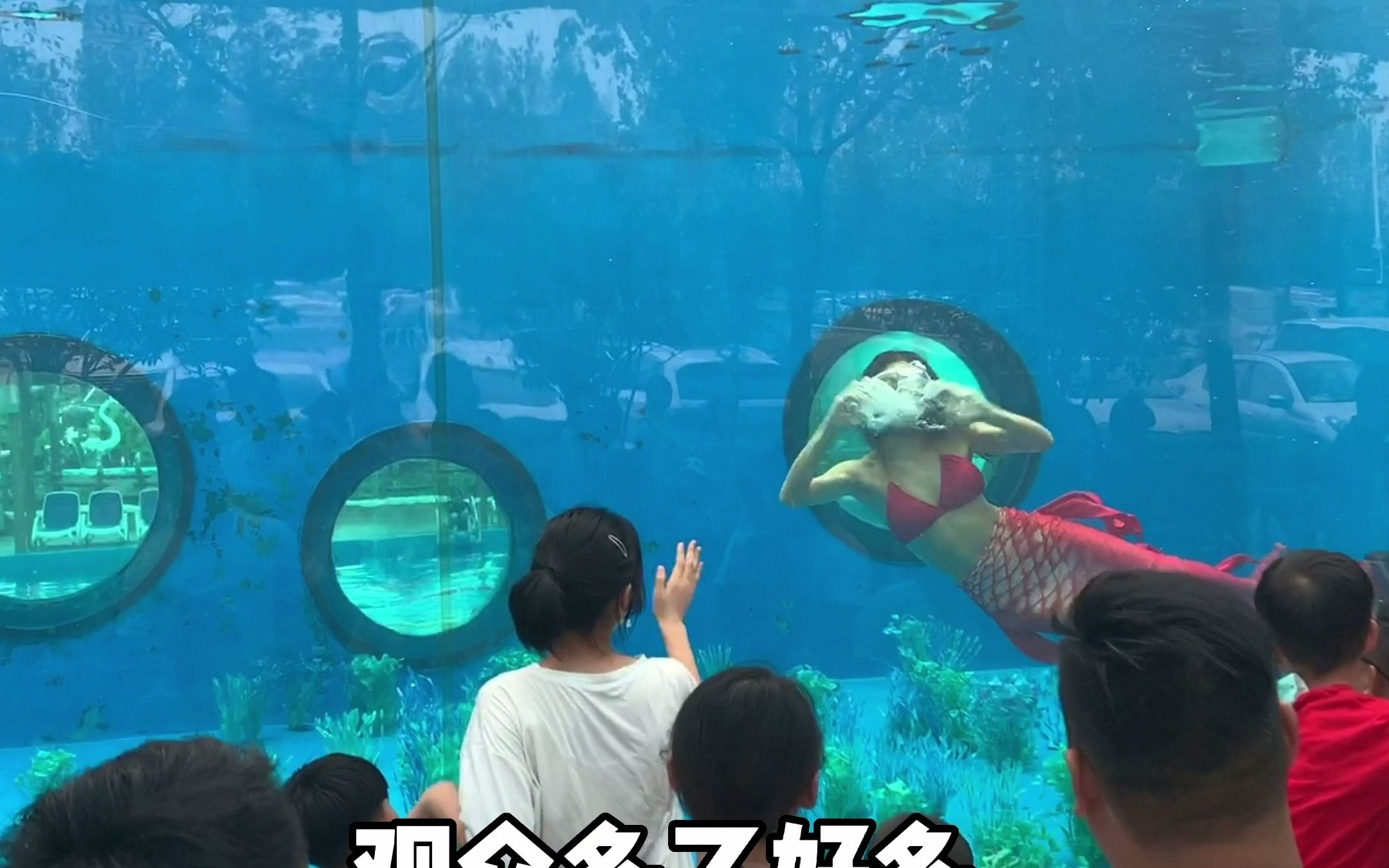 路人视角:表演美人鱼是什么体验?
