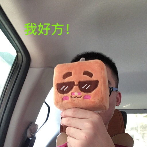爱玩游戏的陈小切 