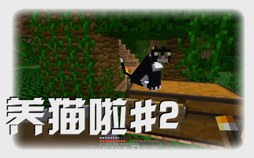 【芦苇】养猫啦#2-我的世界中国版