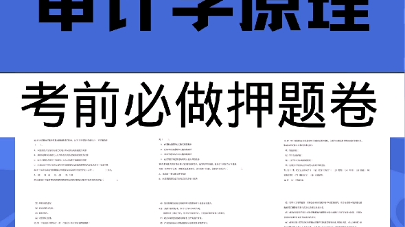 27页审计学原理题库带答案