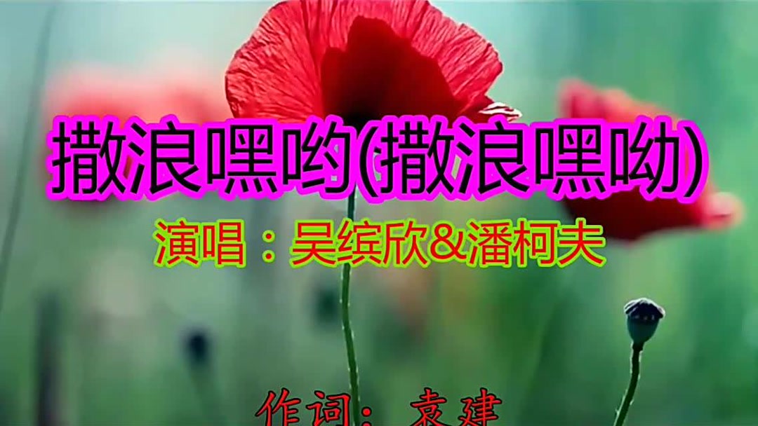 一曲迷人的撒浪嘿哟,深入人心,字字真情。