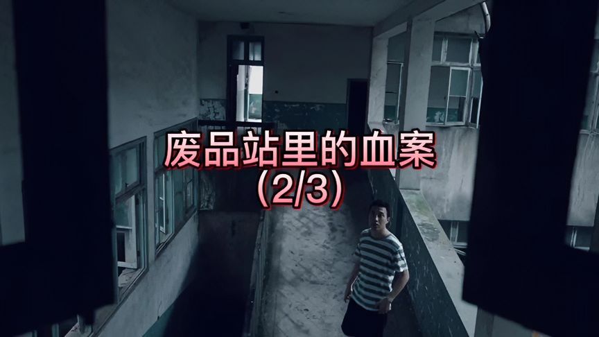 废品站里的血案(2)#讲述大案纪实故事 #真实案件记录 #刑侦档案