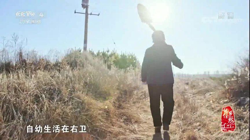 60多年不懈努力换来54%森林覆盖率,他们做了什么?