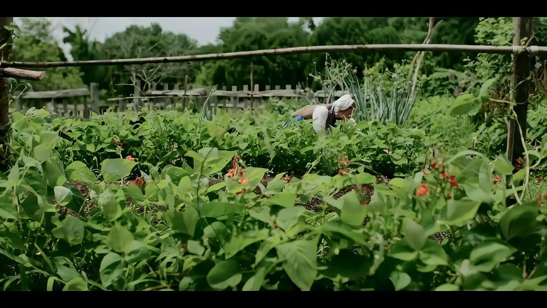 农业在人类文明史的进程中起到了何种作用?