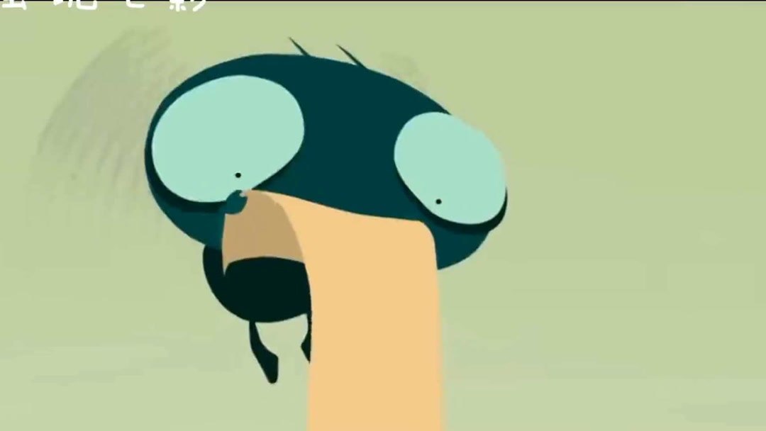 动画短片《苍蝇的一分钟生命》,看完后,竟然想养一只当宠物!