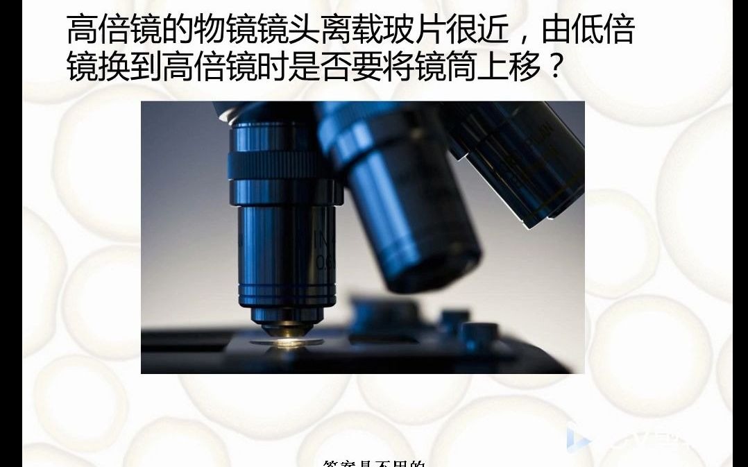 桂城中学蒋剑虹—显微镜的使用