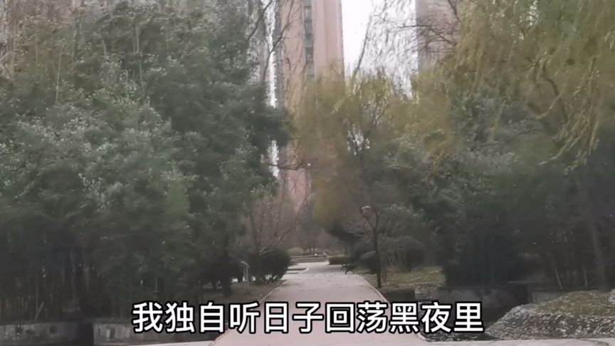 树枝摇摆、树叶起舞