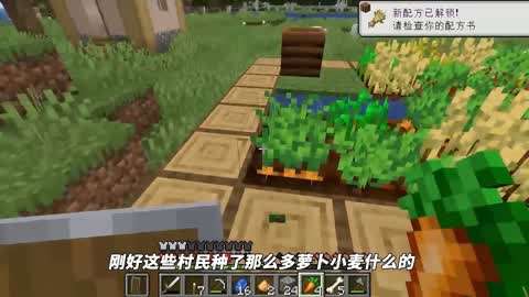 我的世界生存日记6:村民全被掠夺者绑架了?阿阳踏上复仇之路