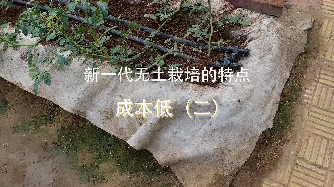 新一代无土栽培的特点,成本低(二),基质成本非常低