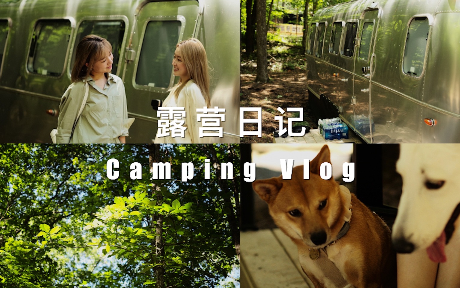 Weekend Vlog|露营初体验|Autocamp Catskill NY|学自行车|Woodstock...