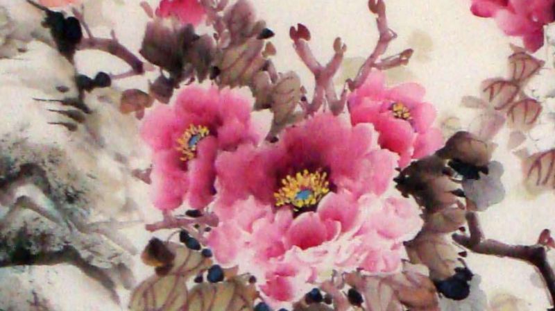 简单漂亮的牡丹画法