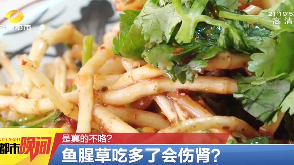 鱼腥草会伤肾致癌?到底能不能吃,专家解读揭开真相!