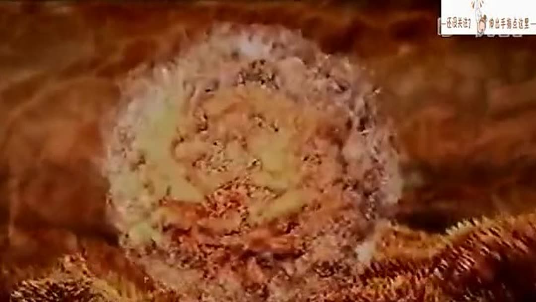 人类的新生命是怎么诞生的全过程 女人和男人之间孕育生命的全过程