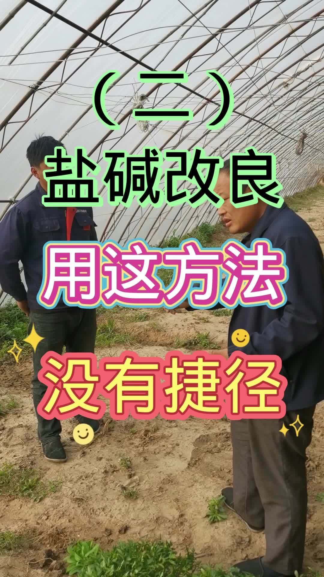 大水+有机肥+生物菌#蔬菜种植技术 #蔬菜大棚 #农业技术 @三农
