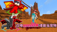 我的世界罗修的趣味生存大冒险 第2集 斗罗魂者大陆:唐三同款双神位...