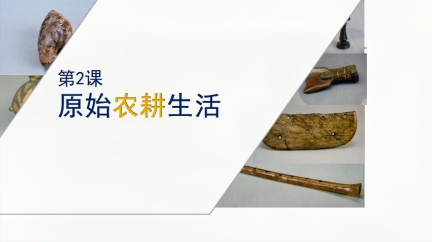 初中历史七年级上册第二课《原始农耕生活》