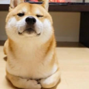 所得结果　生活乐
