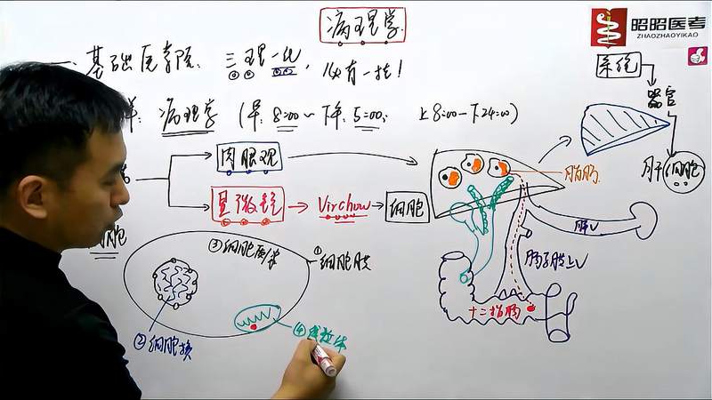 2022昭昭医考基础精讲班细胞和组织适应、损伤和修复-1讲解