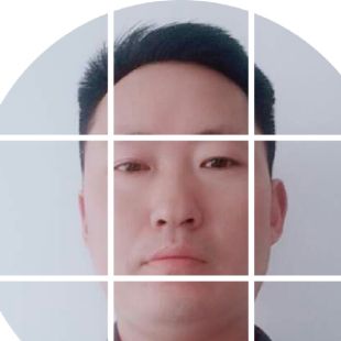 小龙42335 
