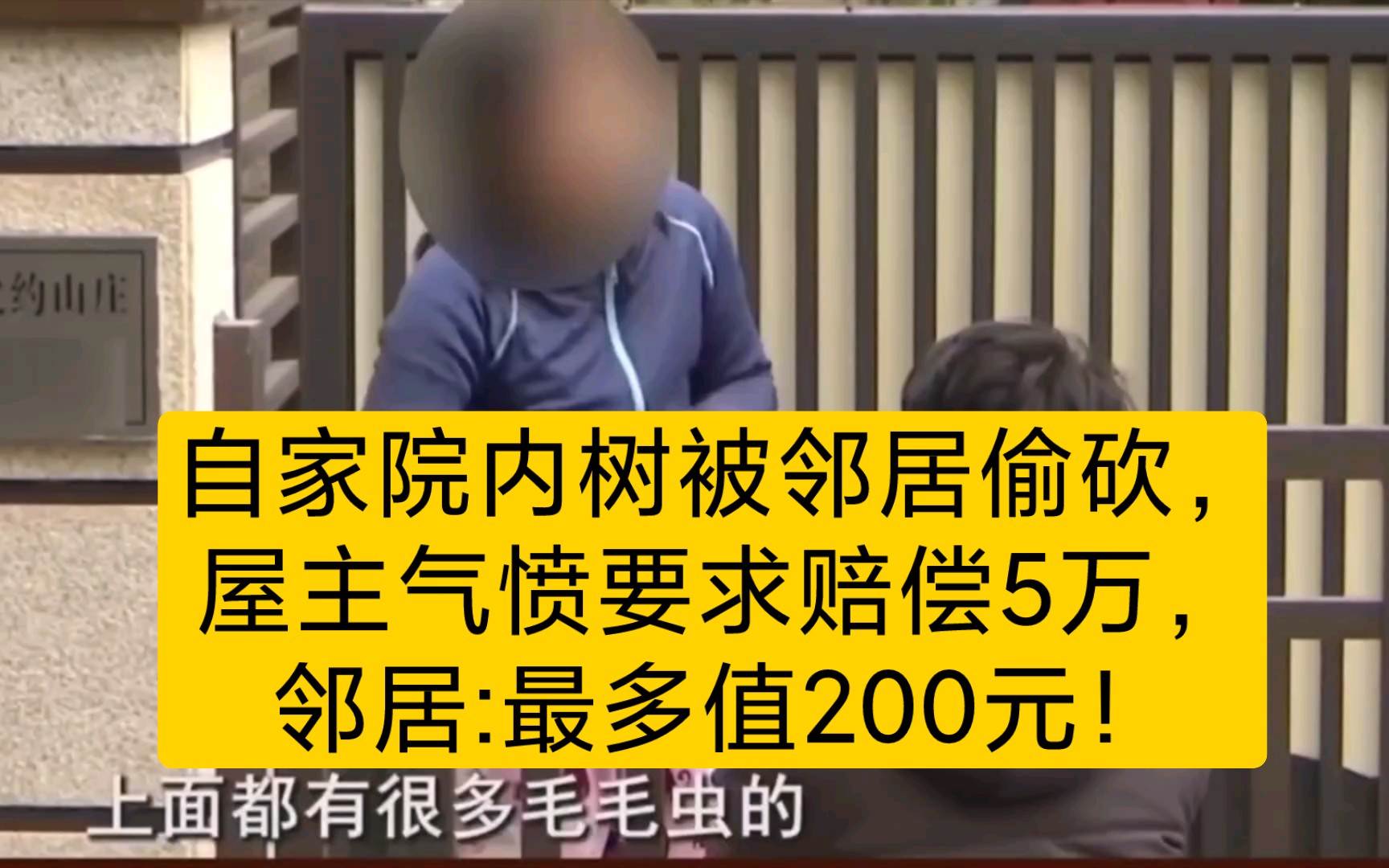 自家院内树被邻居偷砍,屋主气愤要求赔偿5万,邻居:最多值200元!