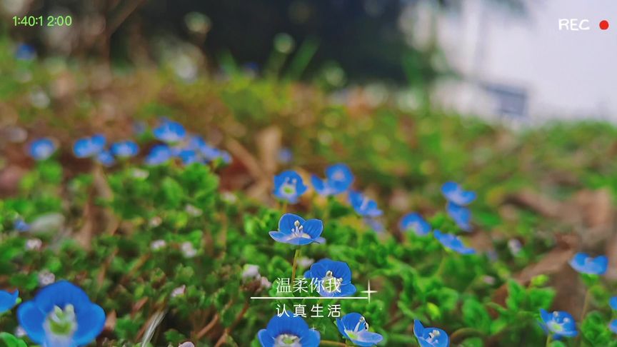 ߍ�万宝青山环保产业集团ߍ� ߍ�温柔你我