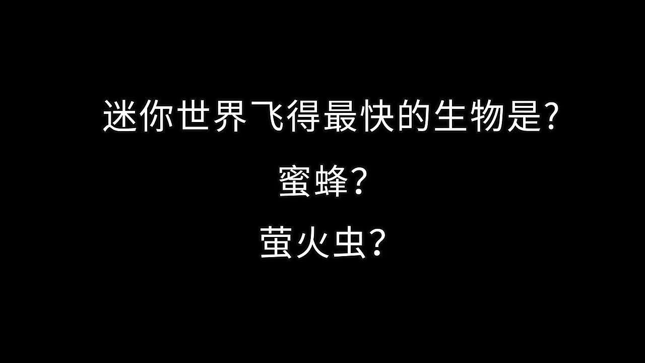 小愺迷你世界X变形金刚联动:起飞,俯瞰世界!正版授权皮肤飞标来袭