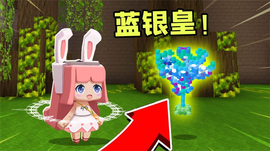 迷你世界:小玲铛初到斗罗大陆,获得唐三传承武魂开启称霸之路