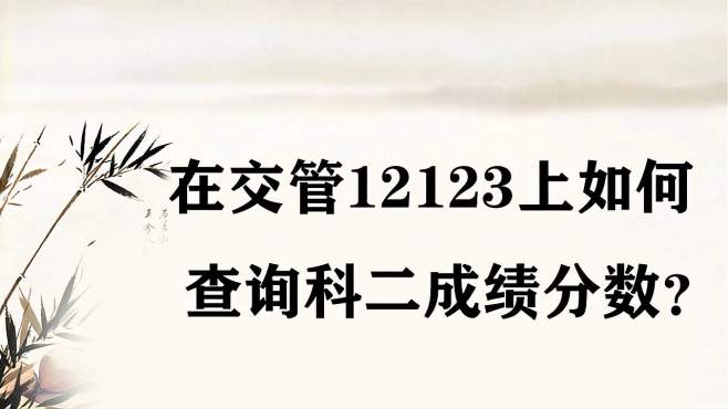 在交管12123上如何查询科二成绩分数?