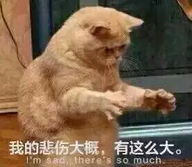 三观正直好少年 