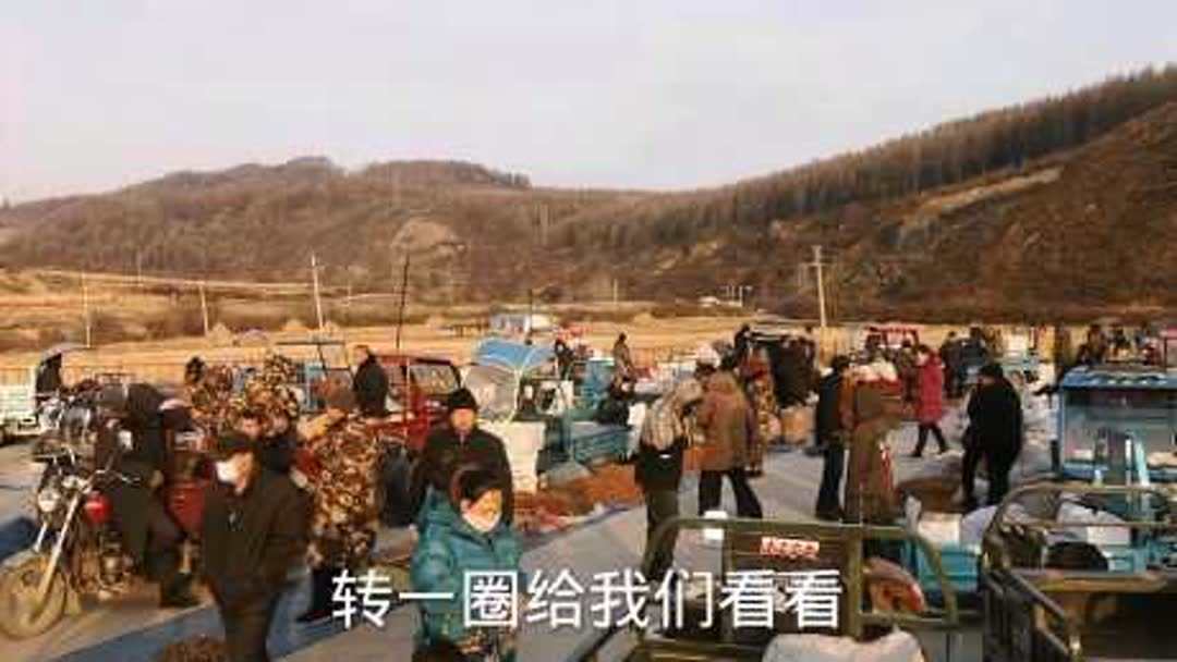 实拍长白山人参市场,红参和白参的结合你了解多少