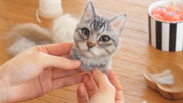 羊毛毡猫咪制作过程,简直跟真的一样,技术太牛了