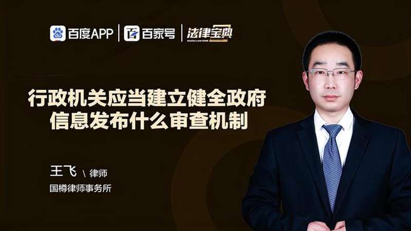 行政机关应当建立健全政府信息发布什么审查机制