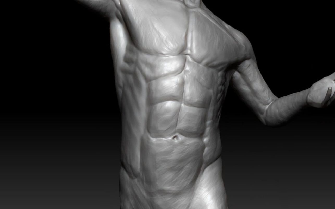 maya免费高级角色教程12(艺术人体解刨讲解09)