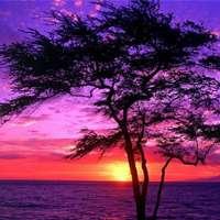 坚信自己的选择 