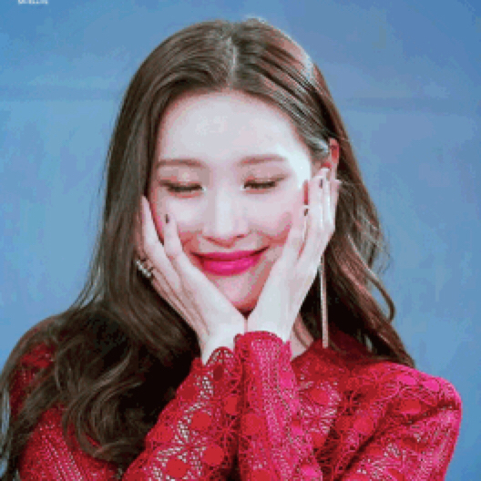 落花时节又逢君i 