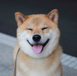 蓝莓青年文化 