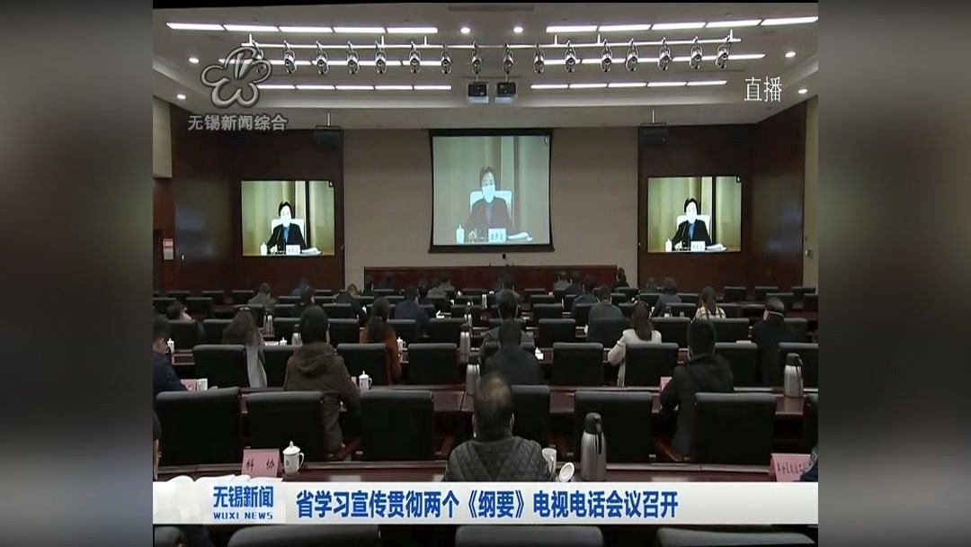 省学习宣传贯彻两个《纲要》电视电话会议召开