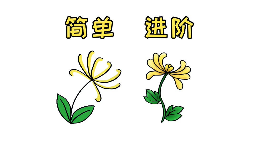 菊花怎么画简单又漂亮？简单版和进阶版，你更喜欢哪个呢？