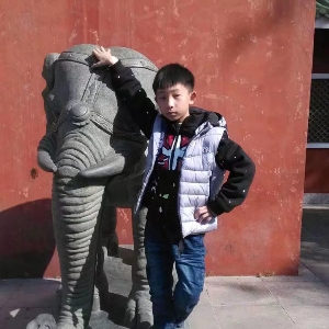 爱玩皇室战争的马虚 